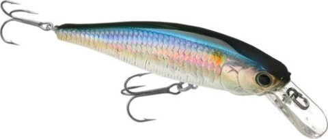 Hardbaits / Wobbler - wolfsbarsch.com